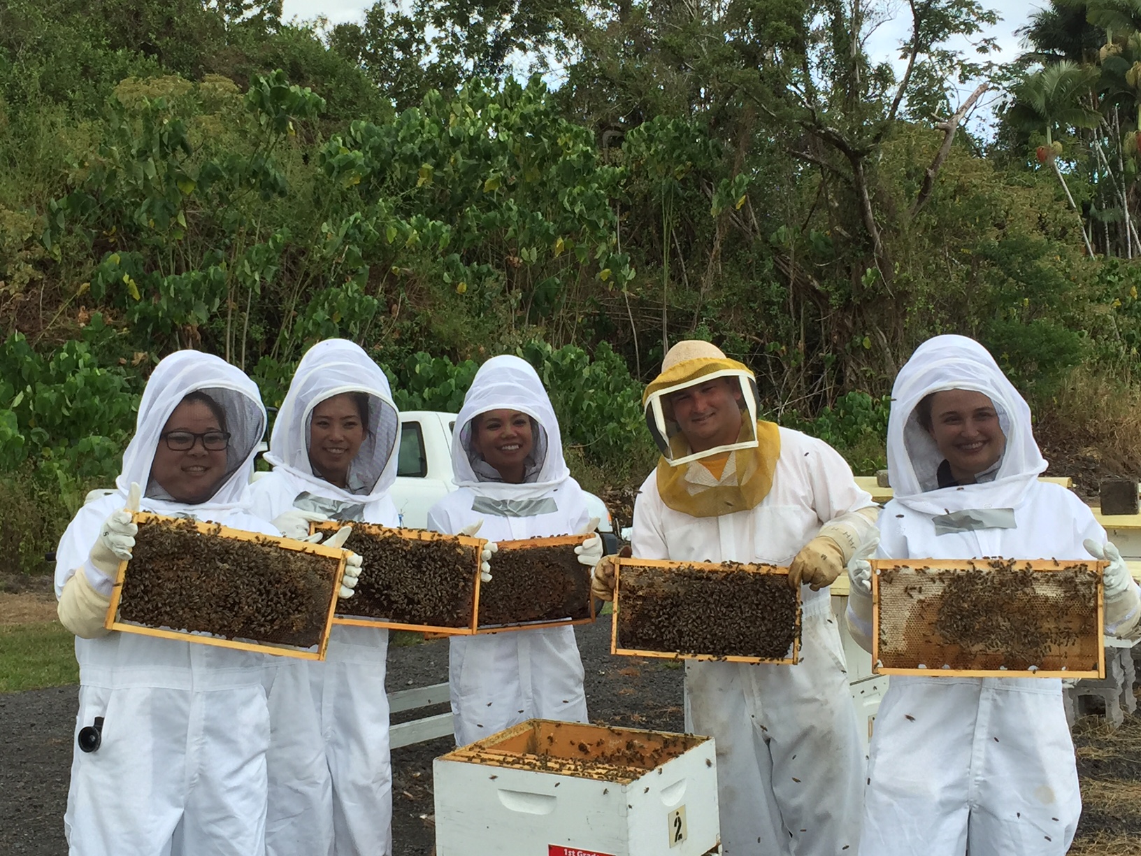 Adopt-A-Beehive | Alan Wong's Adopt-A-Beehive | Alan Wong's